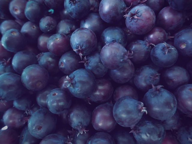 Linnan Saskatoon | suomalainen supermarja | Marjat ja sato